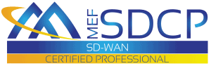 MEF Forum – Sunset Learning Institute